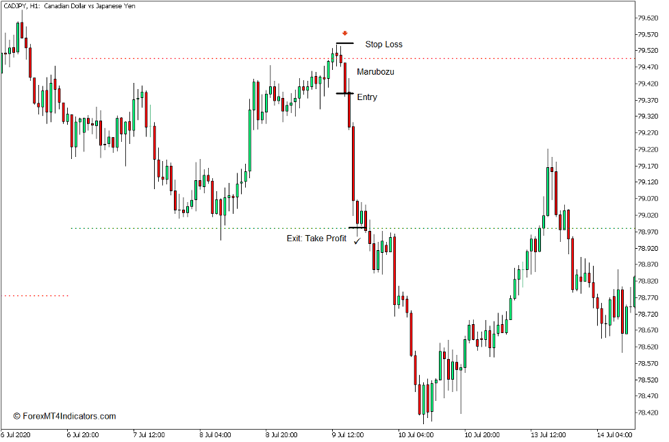 Dynamic Auto Resistance Support Indicator for MT5 – The Ultimate Guide ...