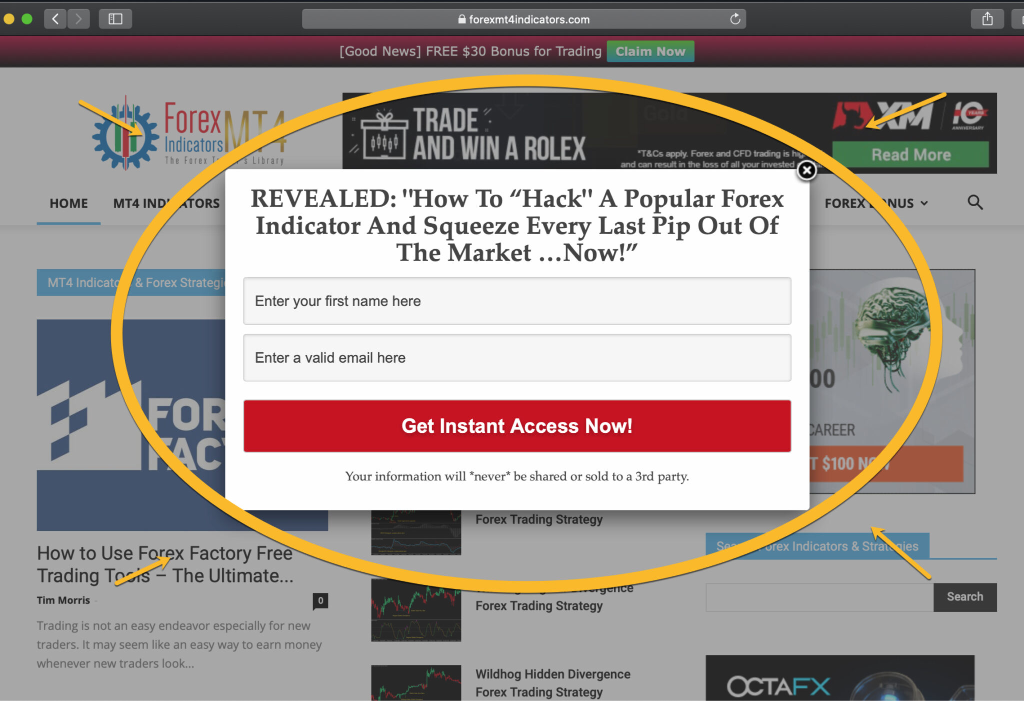 Forex Advertising | Email Advertisement | Banner Ads | Solo Ads