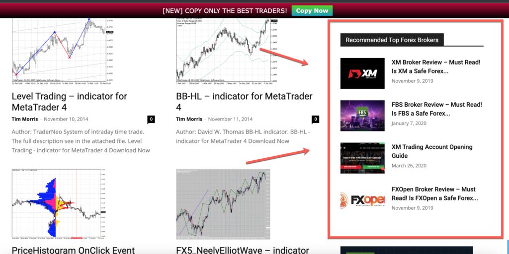 Forex Advertising | Email Advertisement | Banner Ads | Solo Ads