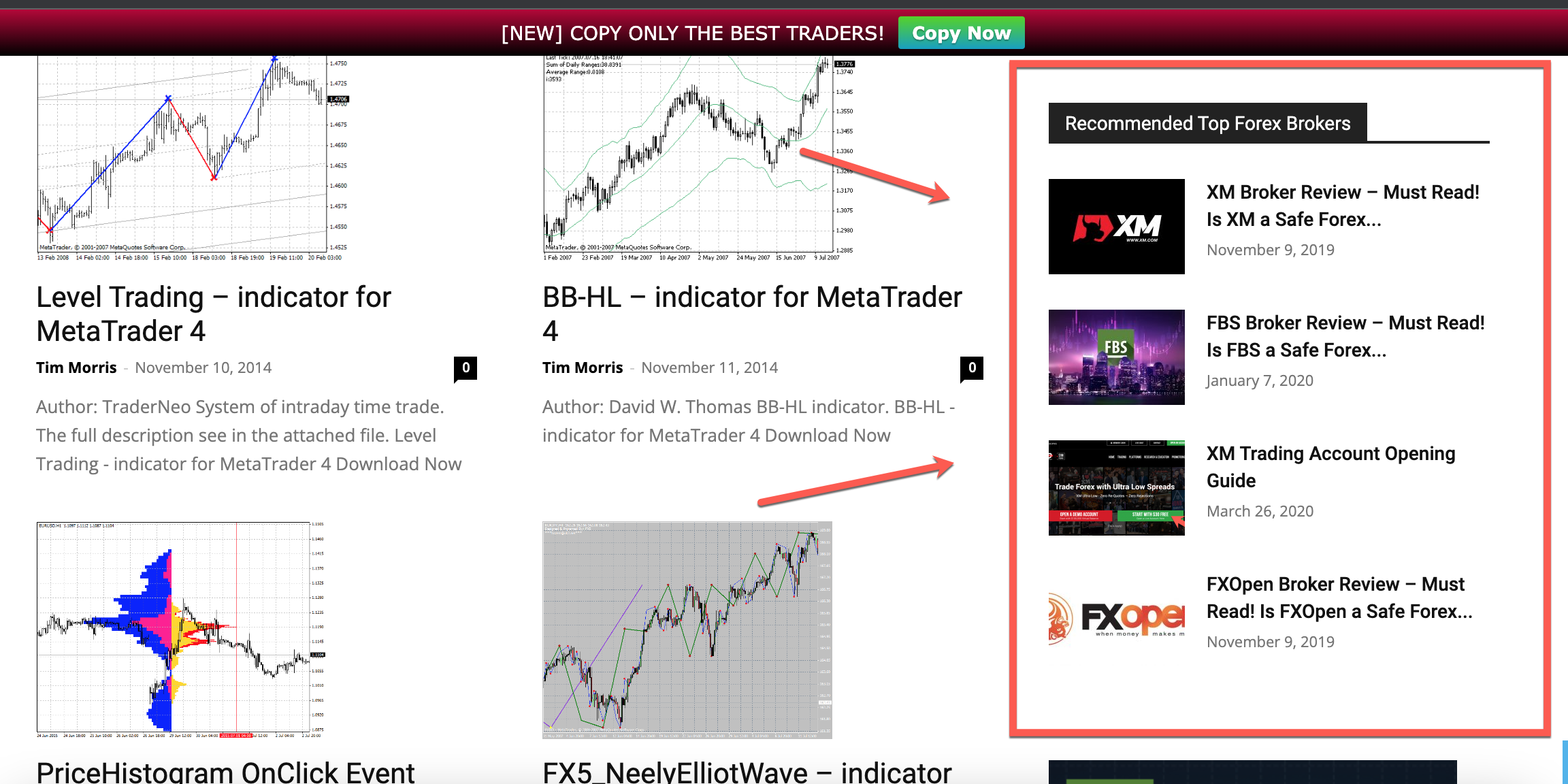 Forex Advertising | Email Advertisement | Banner Ads | Solo Ads